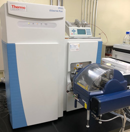 LESA（局所表面溶媒抽出ロボットイオン源）を搭載したNano ESI-MSを導入しました